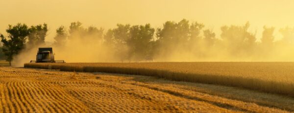 Farm Diesel – SFGO Gas Oil – Dyed Diesel For Off Highway